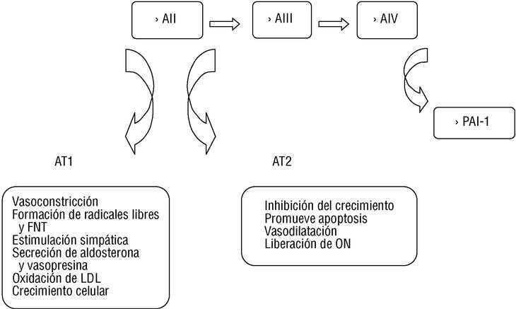 Nuevos farmacos en insuficiencia cardíaca | Revista Española de Cardiología