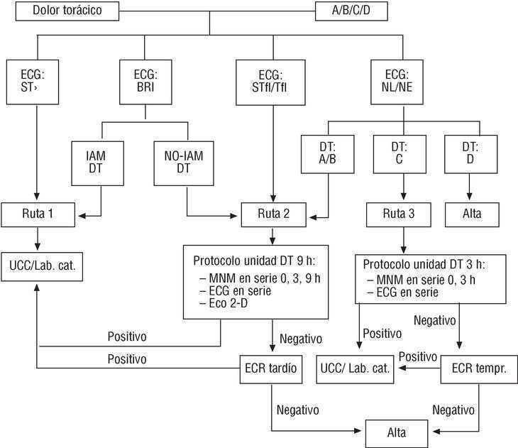Chest pain units: state of the art of the management of patients with ...