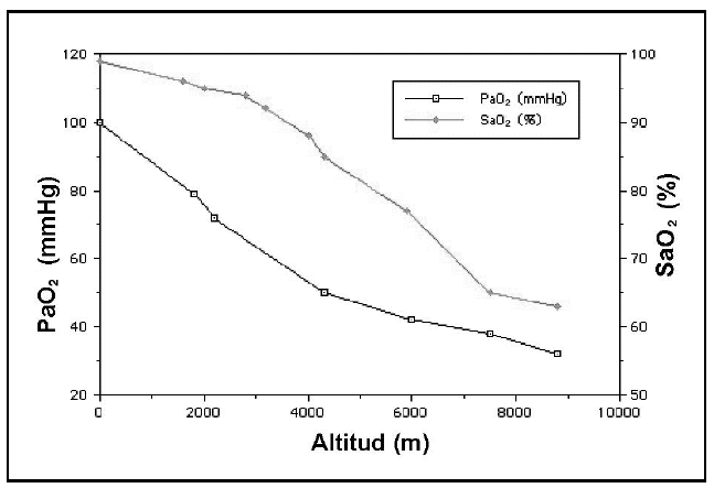 Patología derivada de la altura: experiencia en el K2 | Medicina Intensiva