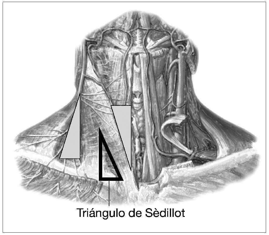 Ponencias: El acceso yugular | Diálisis y Trasplante