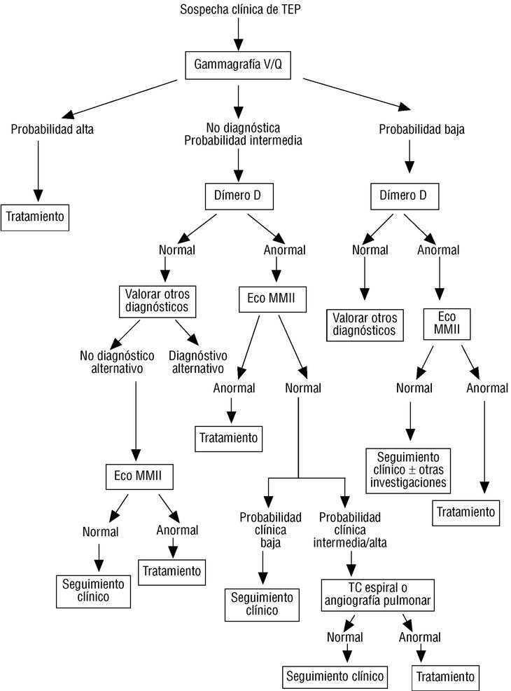 Guías de práctica clínica de la Sociedad Española de Cardiología en ...