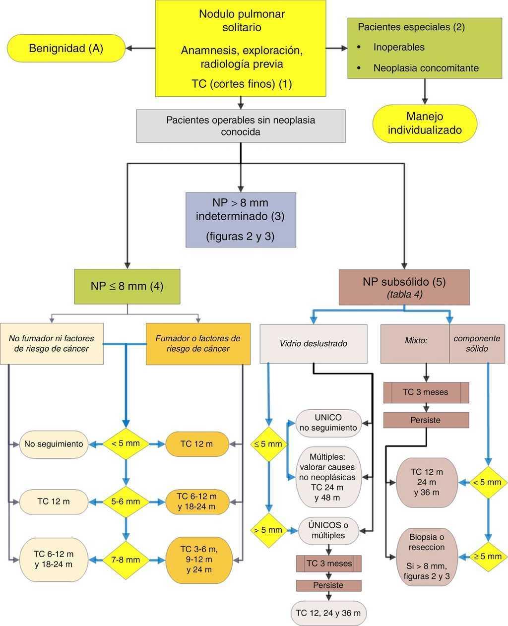 Normativa sobre el manejo del nódulo pulmonar solitario | Archivos de ...