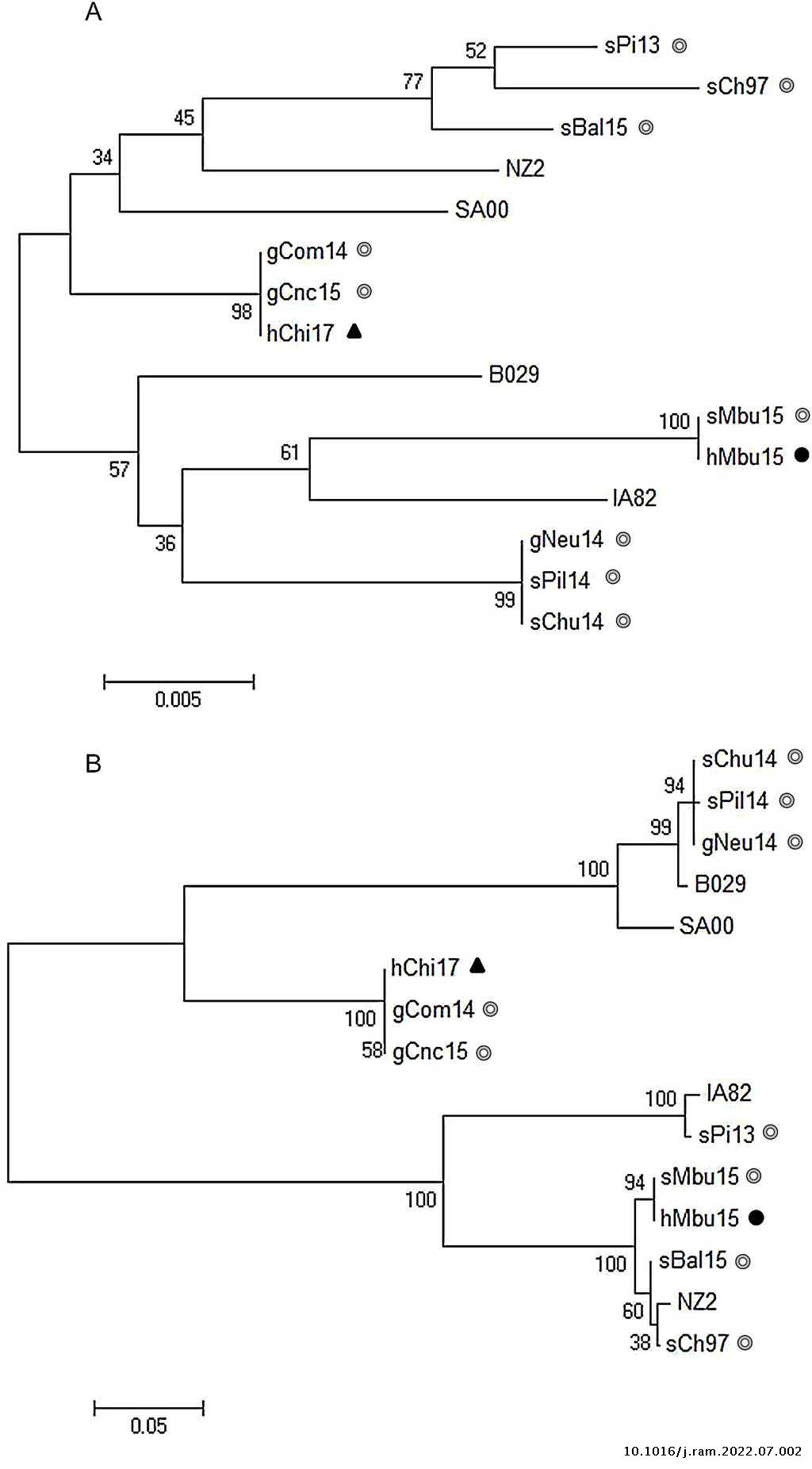 Identification And Molecular Characterization Of Orf Virus Infection In Occupationally Exposed