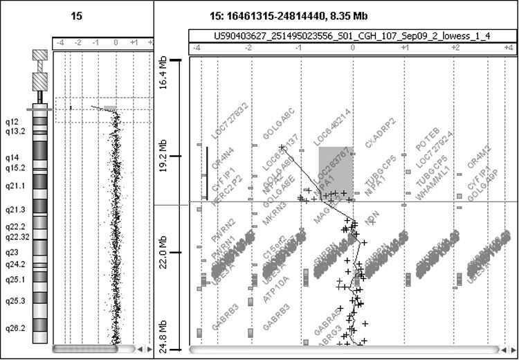 Microdeleción 15q11.2 (BP1-BP2). Un nuevo síndrome con expresividad ...