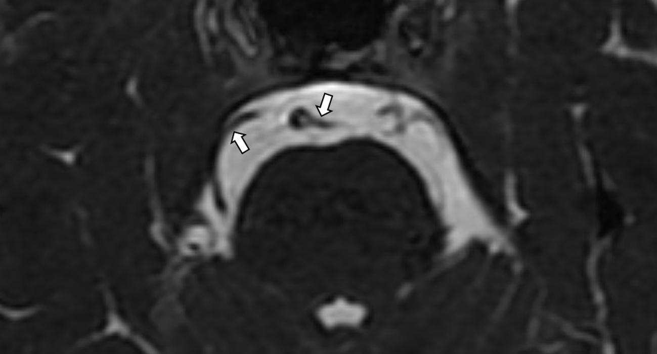 Checklist for the evaluation of magnetic resonance imaging in ...