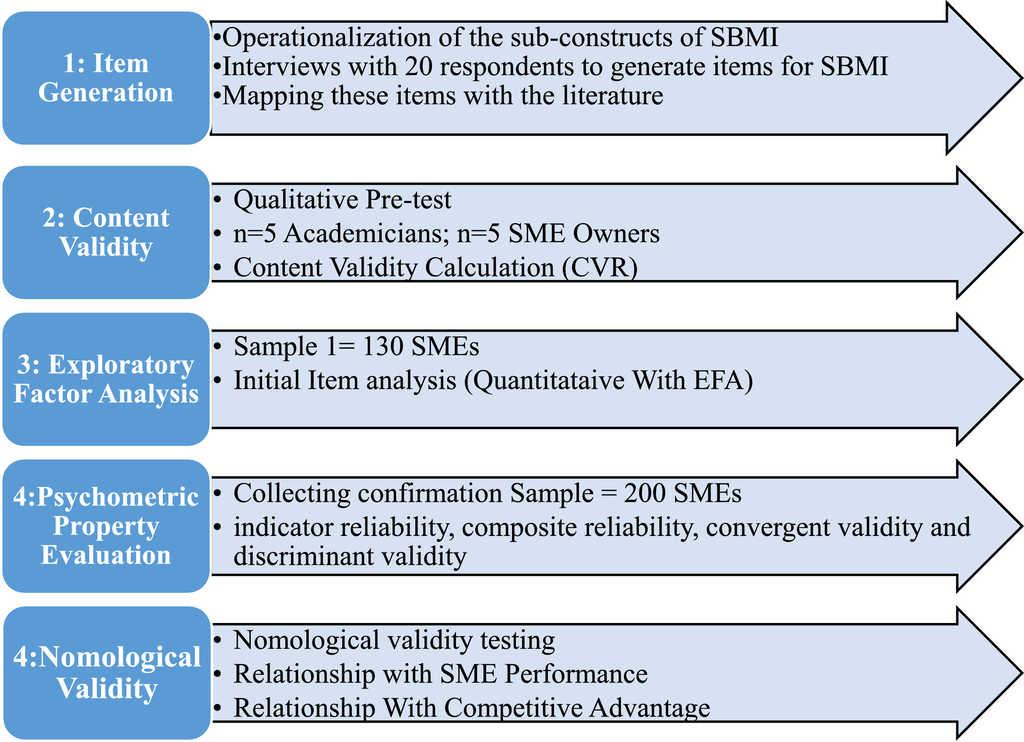Sustainable business model innovation: Scale development, validation ...