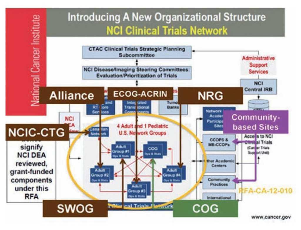 Adolescent and young adult (AYA) oncology — An emerging discipline ...