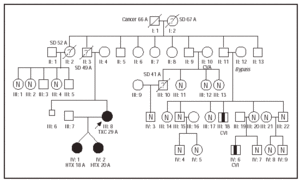 Familial Dilated Cardiomyopathy in Patients Transplanted for Idiopathic ...