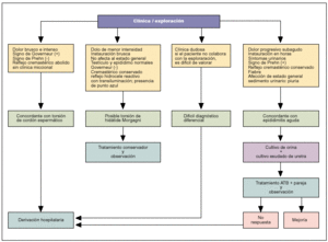 Valoración del síndrome escrotal agudo en atención primaria | Medicina ...