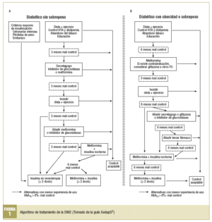 Nuevas perspectivas en el tratamiento de la diabetes mellitus ...