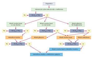 Tratamiento combinado de la diabetes mellitus tipo 2 | FMC. Formación ...