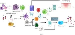 Role of cytokines in the pathophysiology of systemic lupus ...