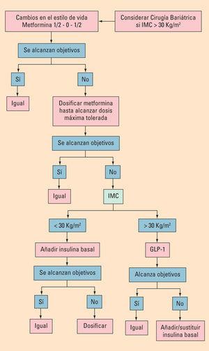 Actualización en el tratamiento de la diabetes mellitus tipo 2 | Medicine