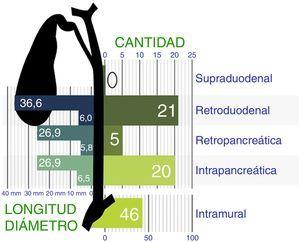 Anatomía quirúrgica del conducto colédoco: revisión de la clasificación ...