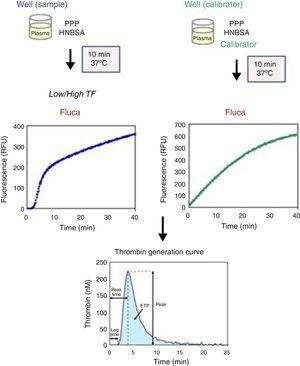 Thrombin generation assays for global evaluation of the hemostatic ...