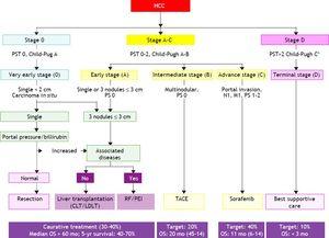 Latin American Association for the Study of the Liver (LAASL) Clinical ...