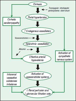 Hepatorenal syndrome: Current concepts related to diagnosis and ...