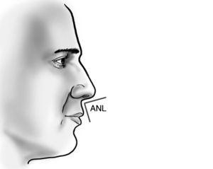 Objective assessment of surgical technique in rotation and nasal ...