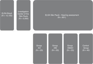 Effects of diabetes mellitus and systemic arterial hypertension on ...
