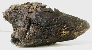 Mummified Heart of an Ancient Egyptian | Revista Española de Cardiología