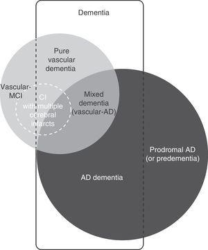 Diagnosis of vascular cognitive impairment and its main categories ...