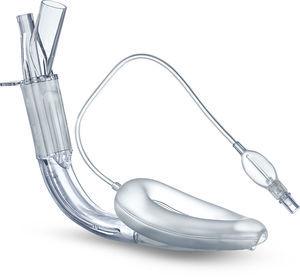 Paediatric supraglottic airway devices update | Colombian Journal of ...