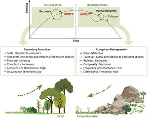 Silent loss: Misapplication of an environmental law compromises ...