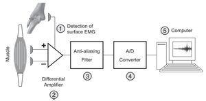 Surface electromyography: Why, when and how to use it | Revista ...