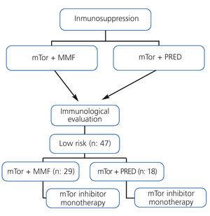 mTOR inhibitor monotherapy. A good treatment choice in renal ...