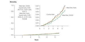 Cardiovascular mortality: how can it be prevented? | Nefrología